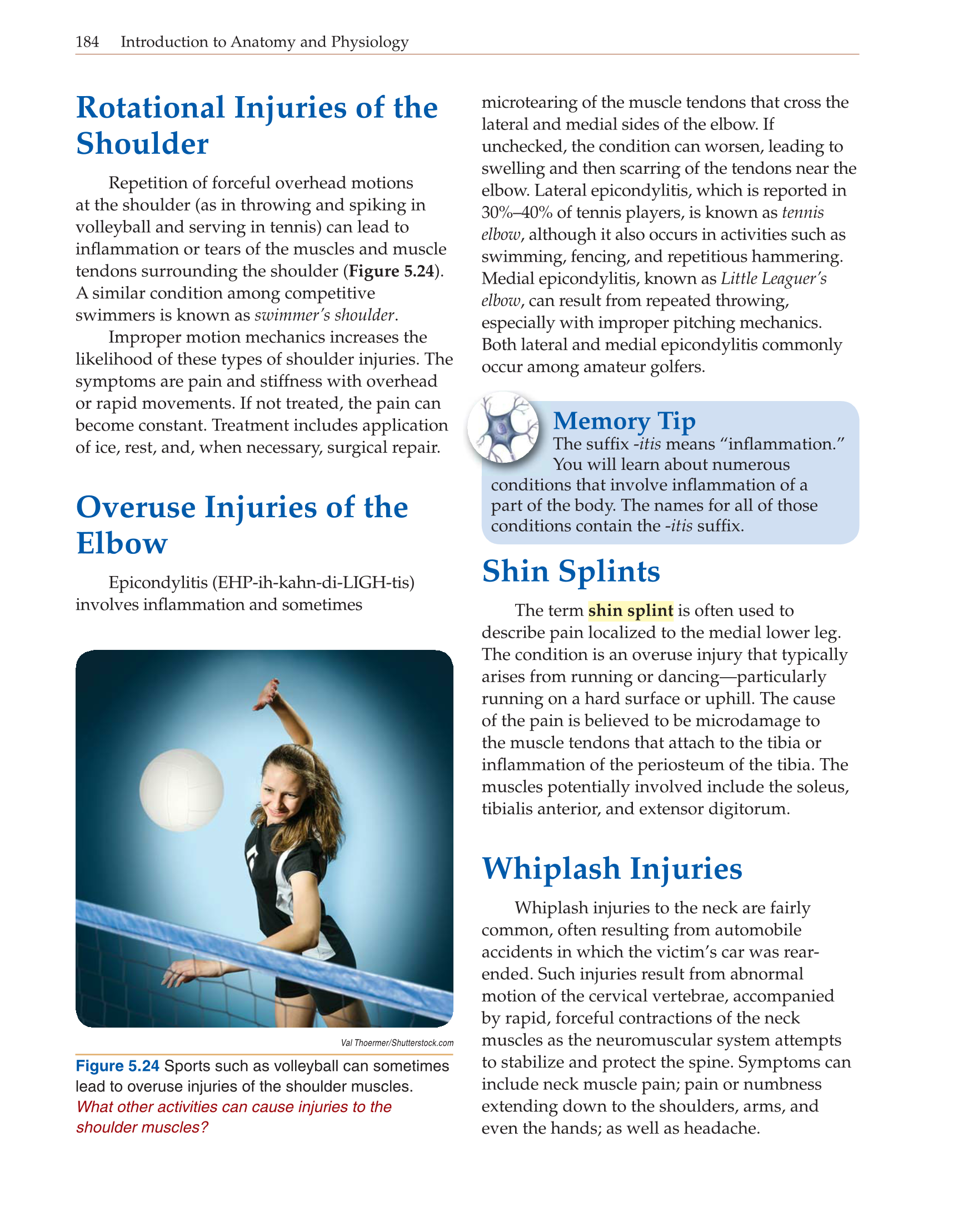 Introduction to Anatomy and Physiology, Online Student Edition page 184