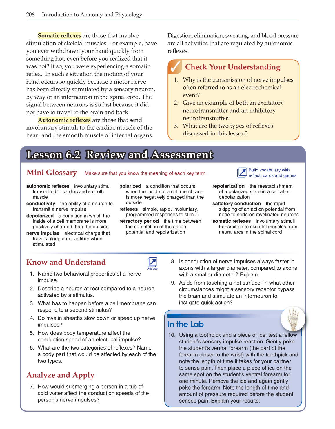 Introduction To Anatomy And Physiology Online Student Edition Page 206 Introduction To Anatomy And Physiology Online Student Edition Page 206