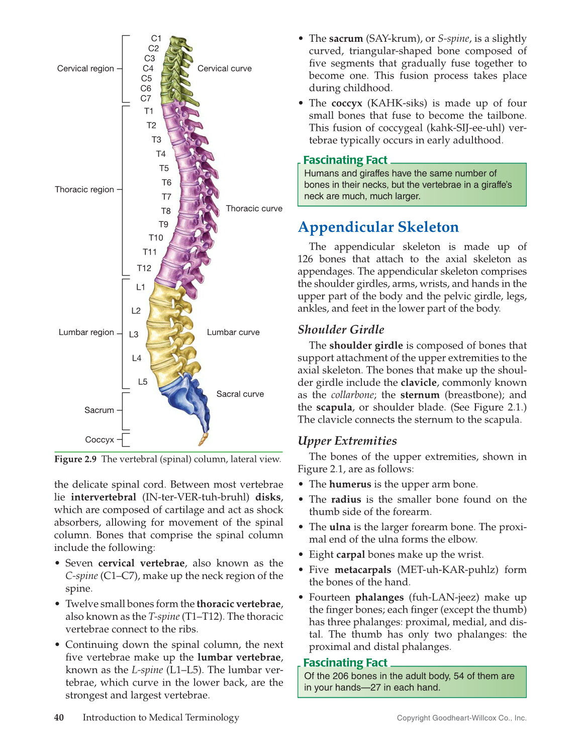Introduction to Medical Terminology, 1st Edition page 40