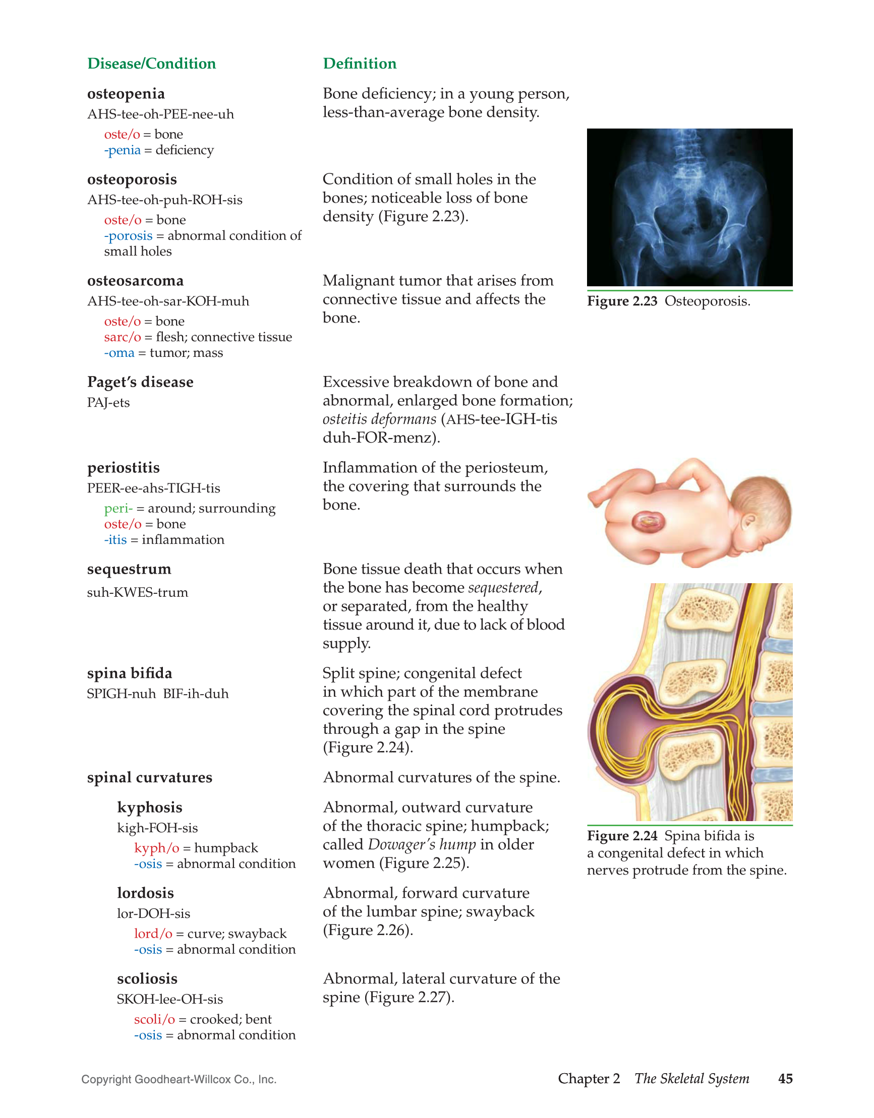 Introduction to Medical Terminology, 1st Edition page 45