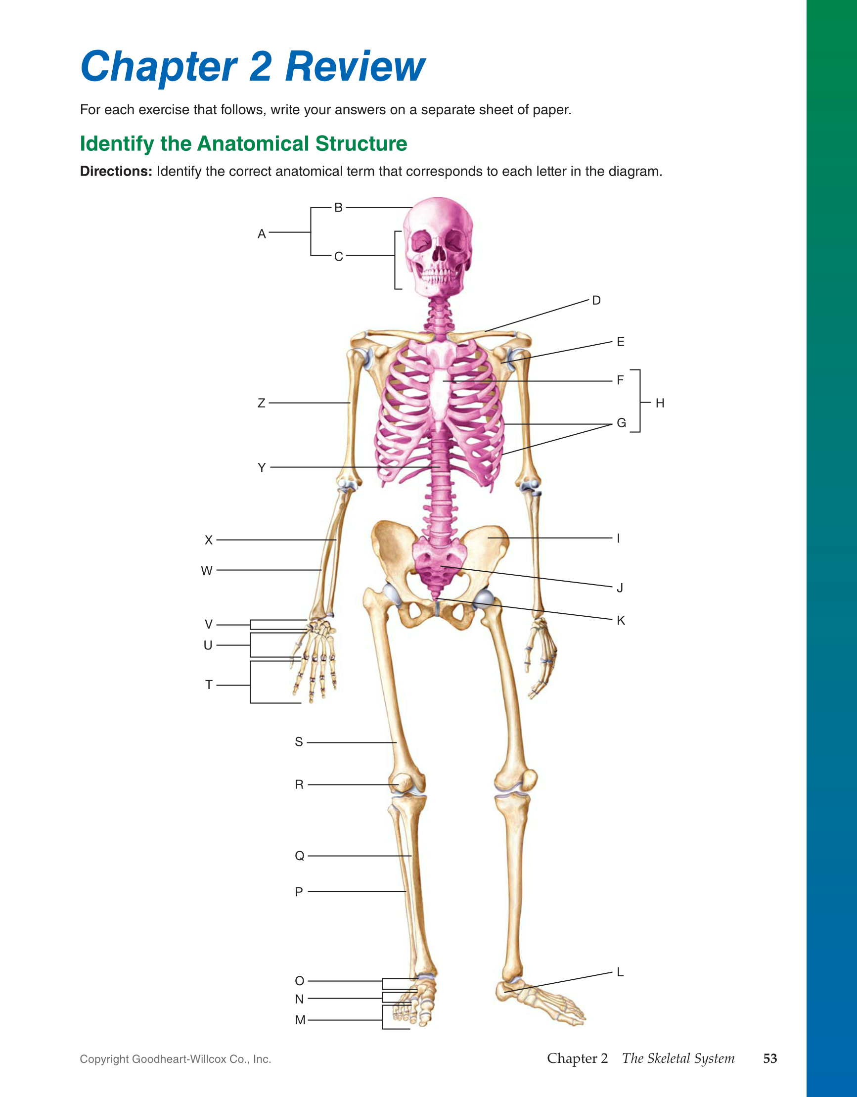 Introduction to Medical Terminology, 1st Edition page 53