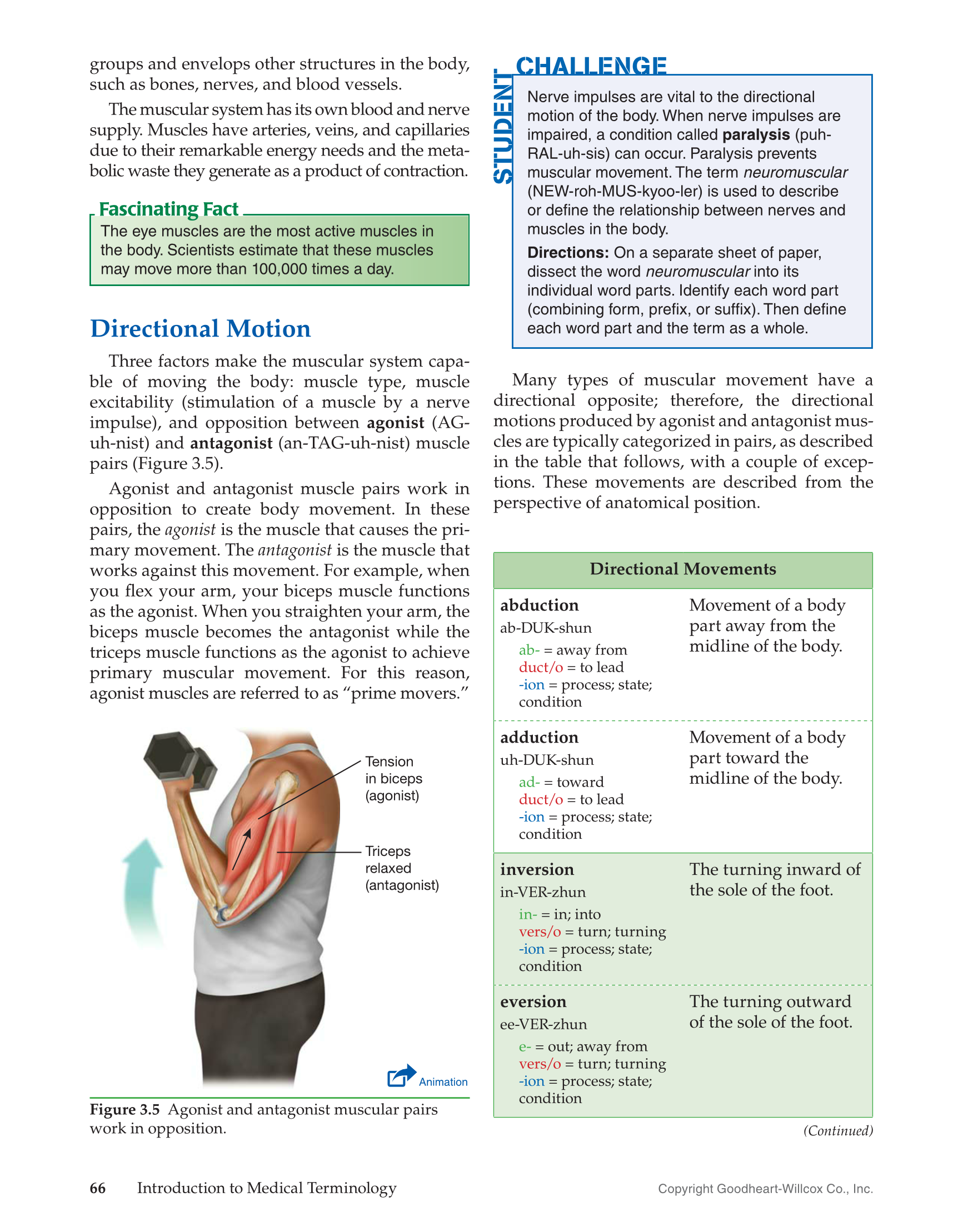 Introduction to Medical Terminology, 1st Edition page 66