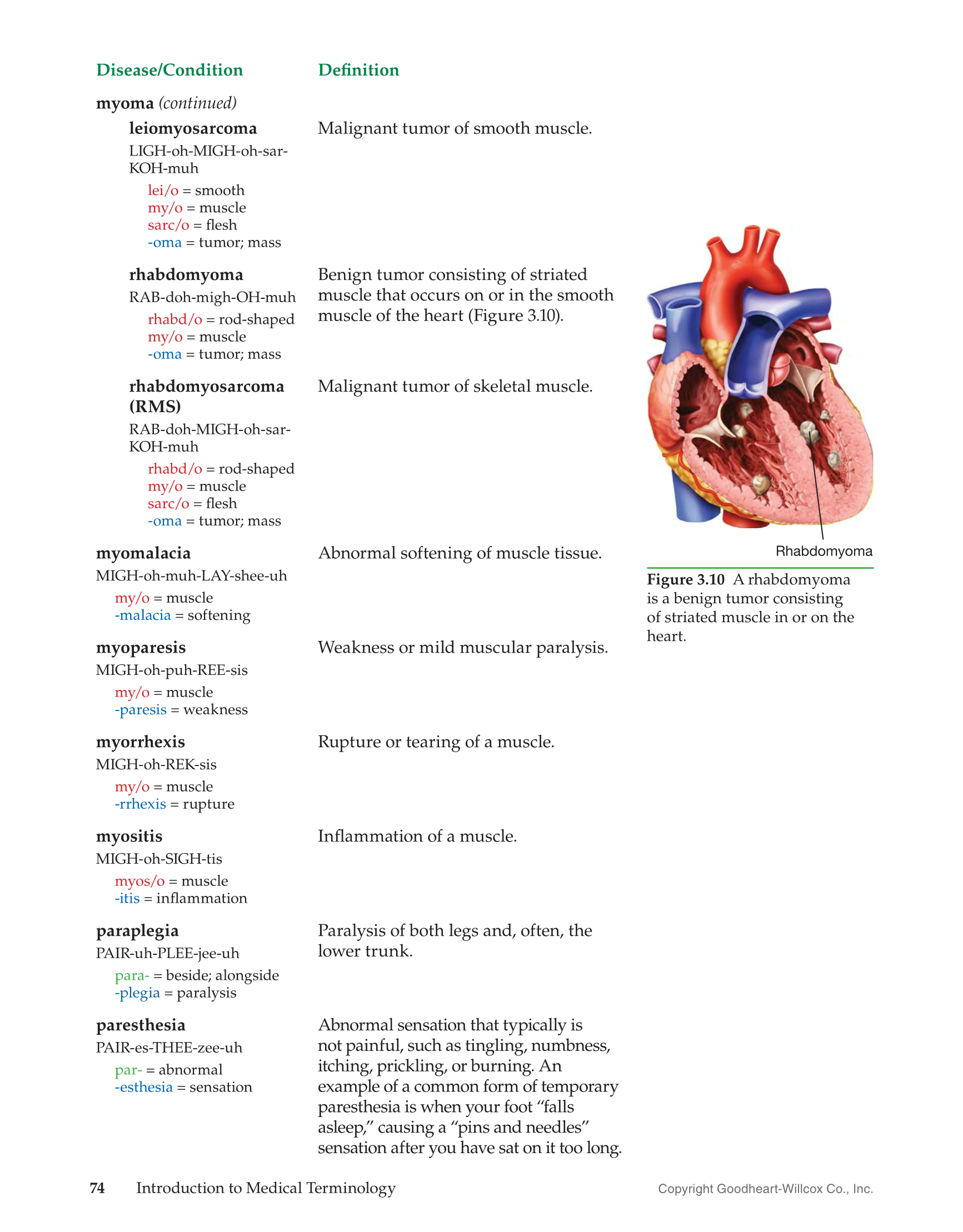 Introduction to Medical Terminology, 1st Edition page 74