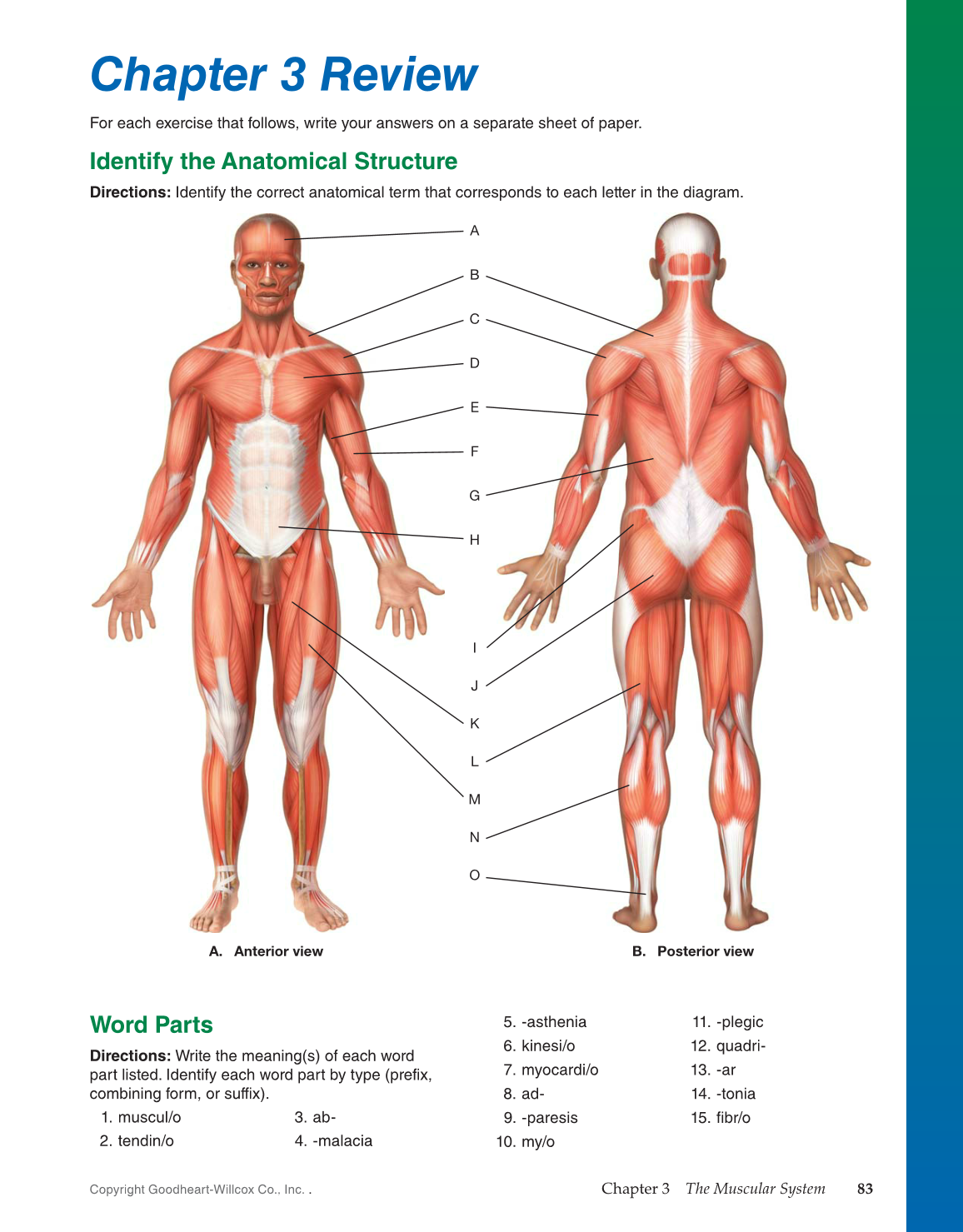 Introduction To Medical Terminology 1st Edition Page 83 Introduction To Medical Terminology 1st Edition Page 83