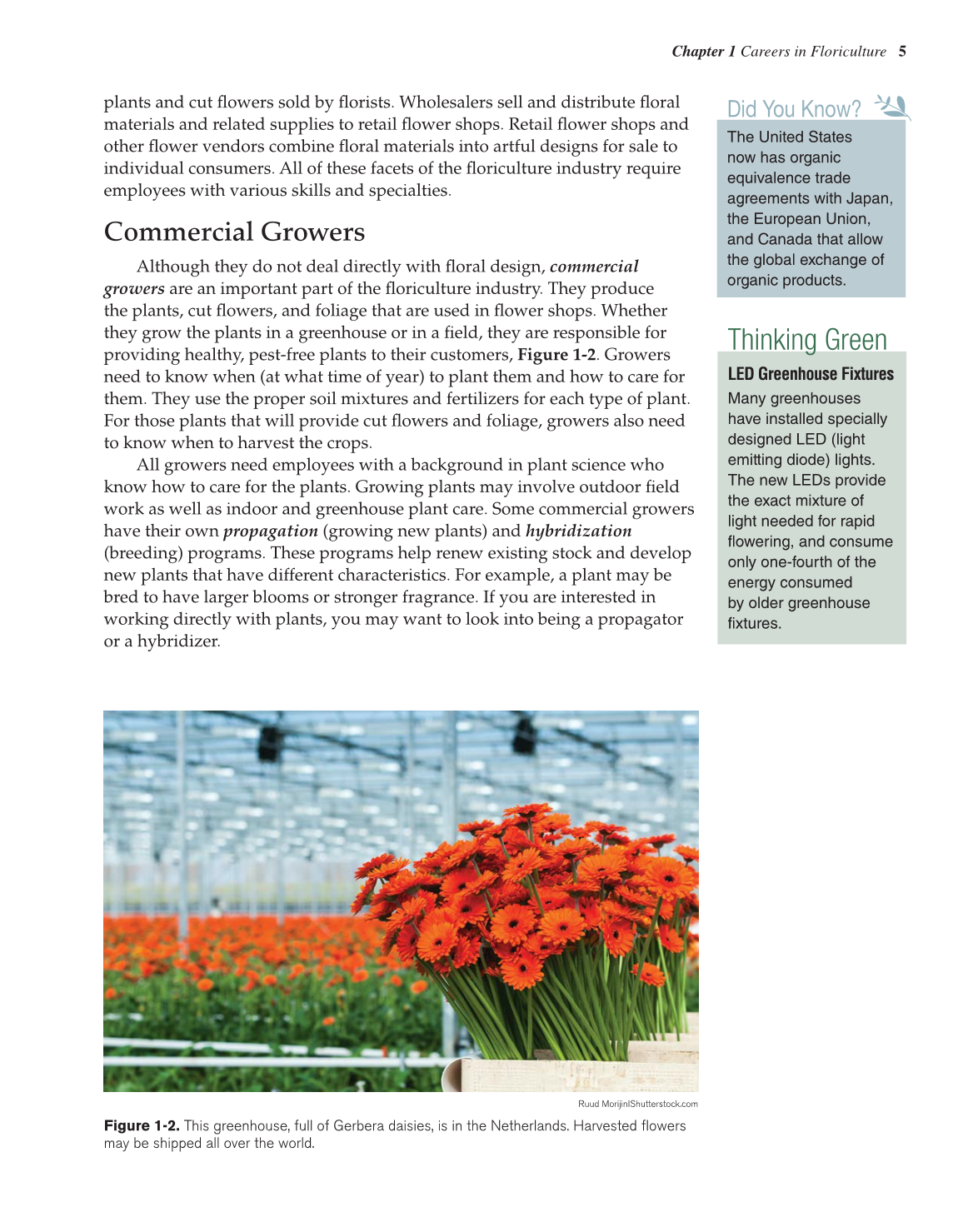 Principles of Floral Design, 1st Edition page 5