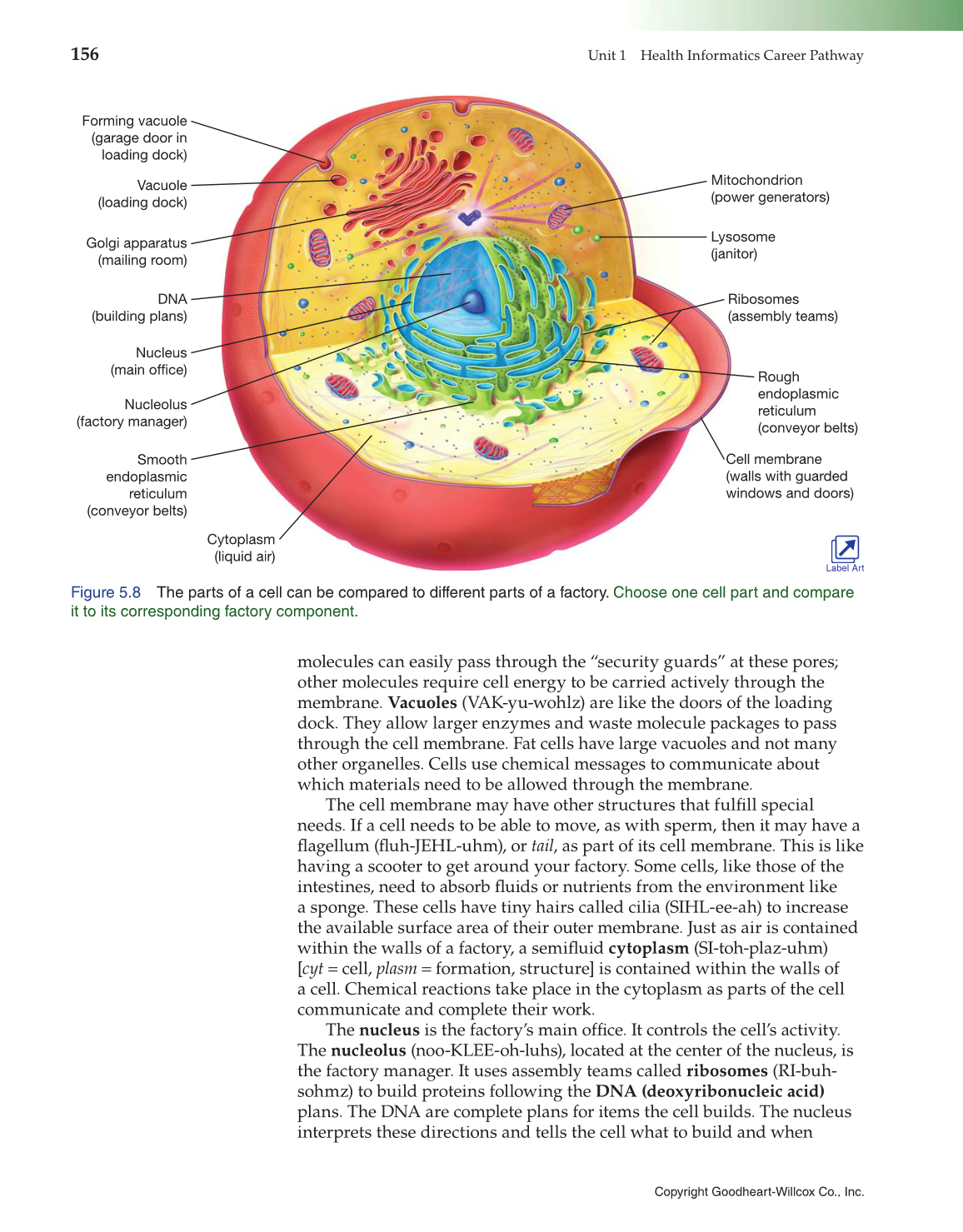 Introduction to Health Science: Pathways to Your Future, 1st Edition ...