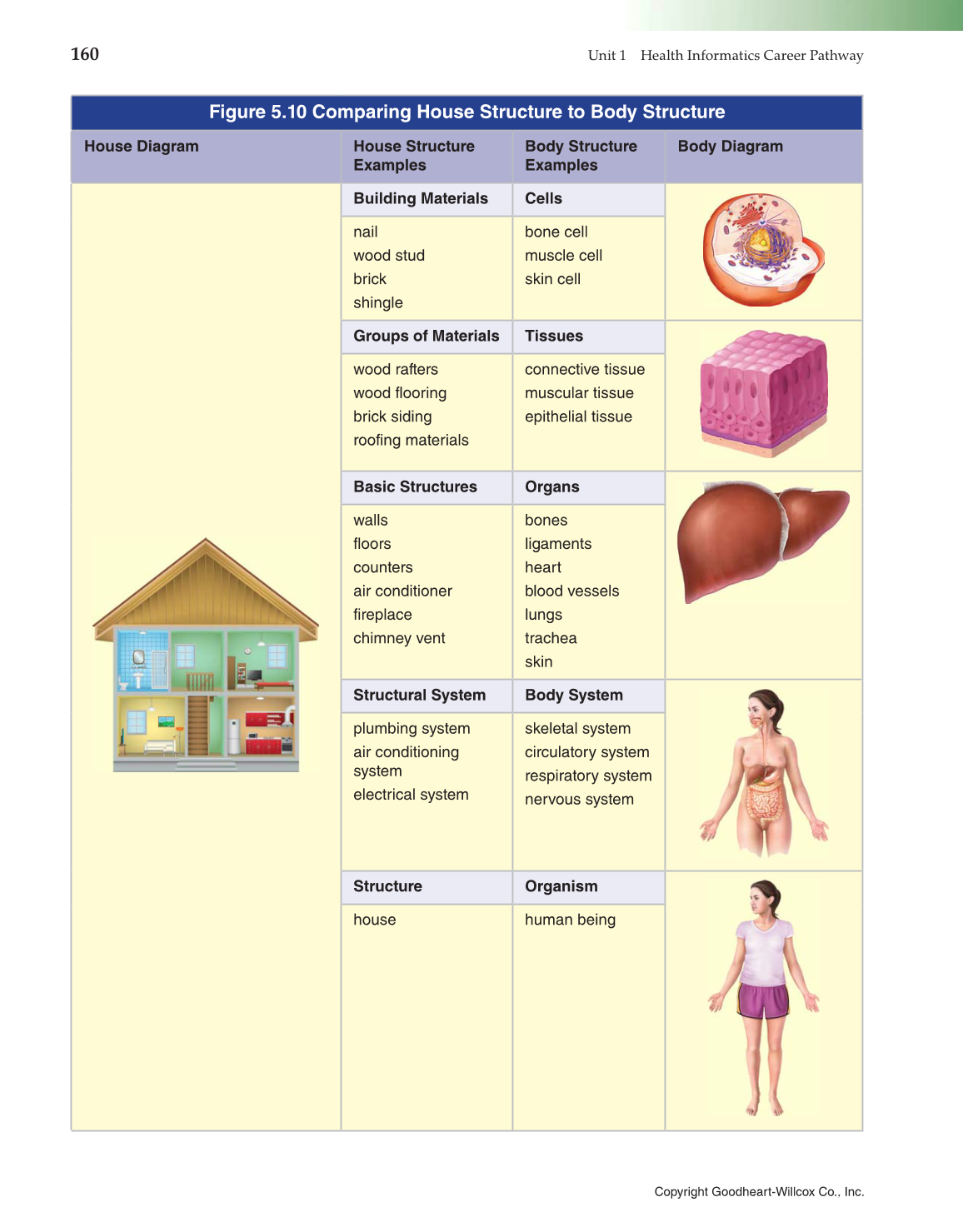 Introduction to Health Science: Pathways to Your Future, 1st Edition ...