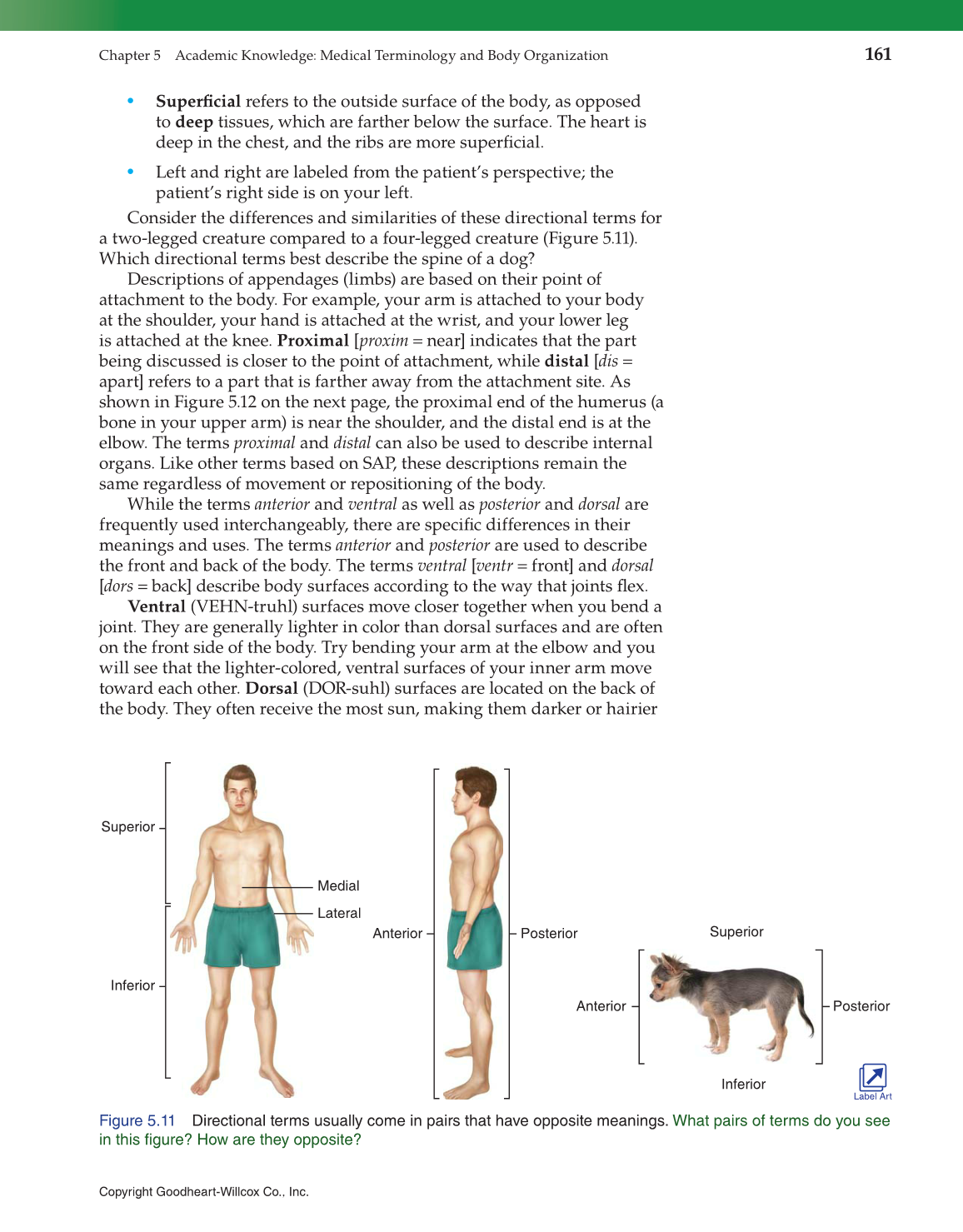 Introduction to Health Science: Pathways to Your Future, 1st Edition ...