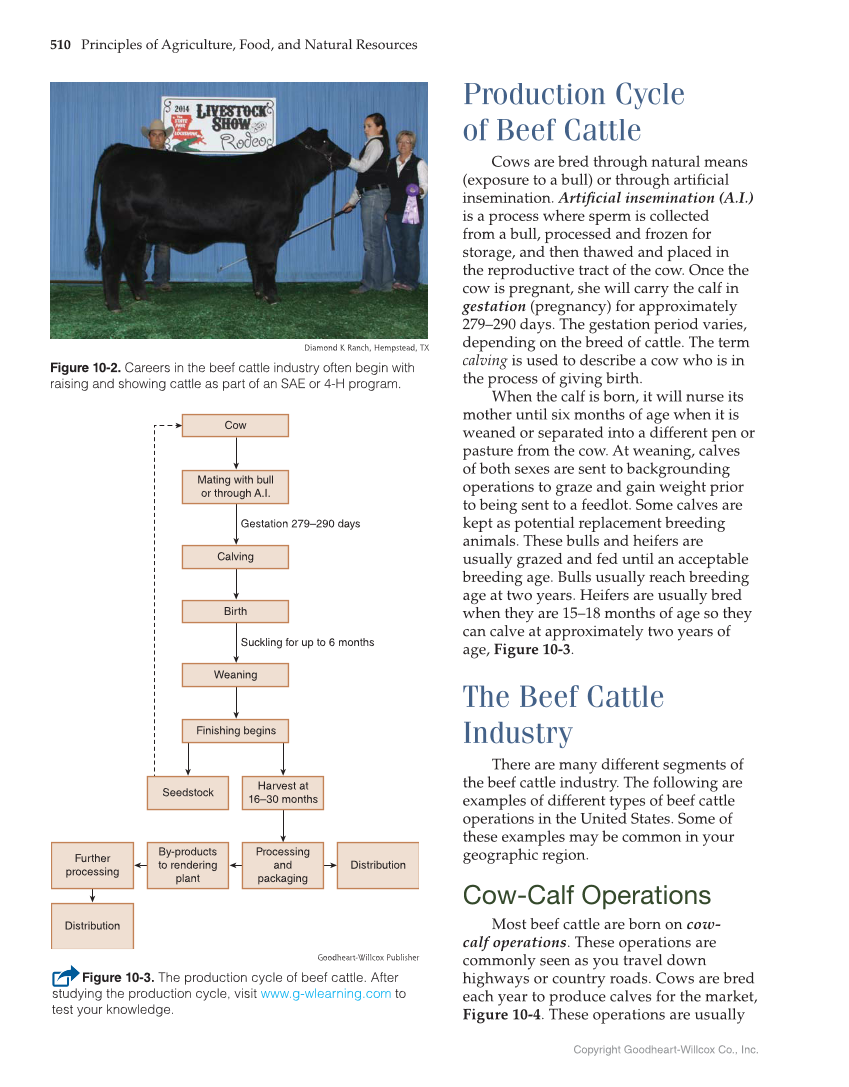 Principles of Agriculture, Food, and Natural Resources, 1st Edition ...