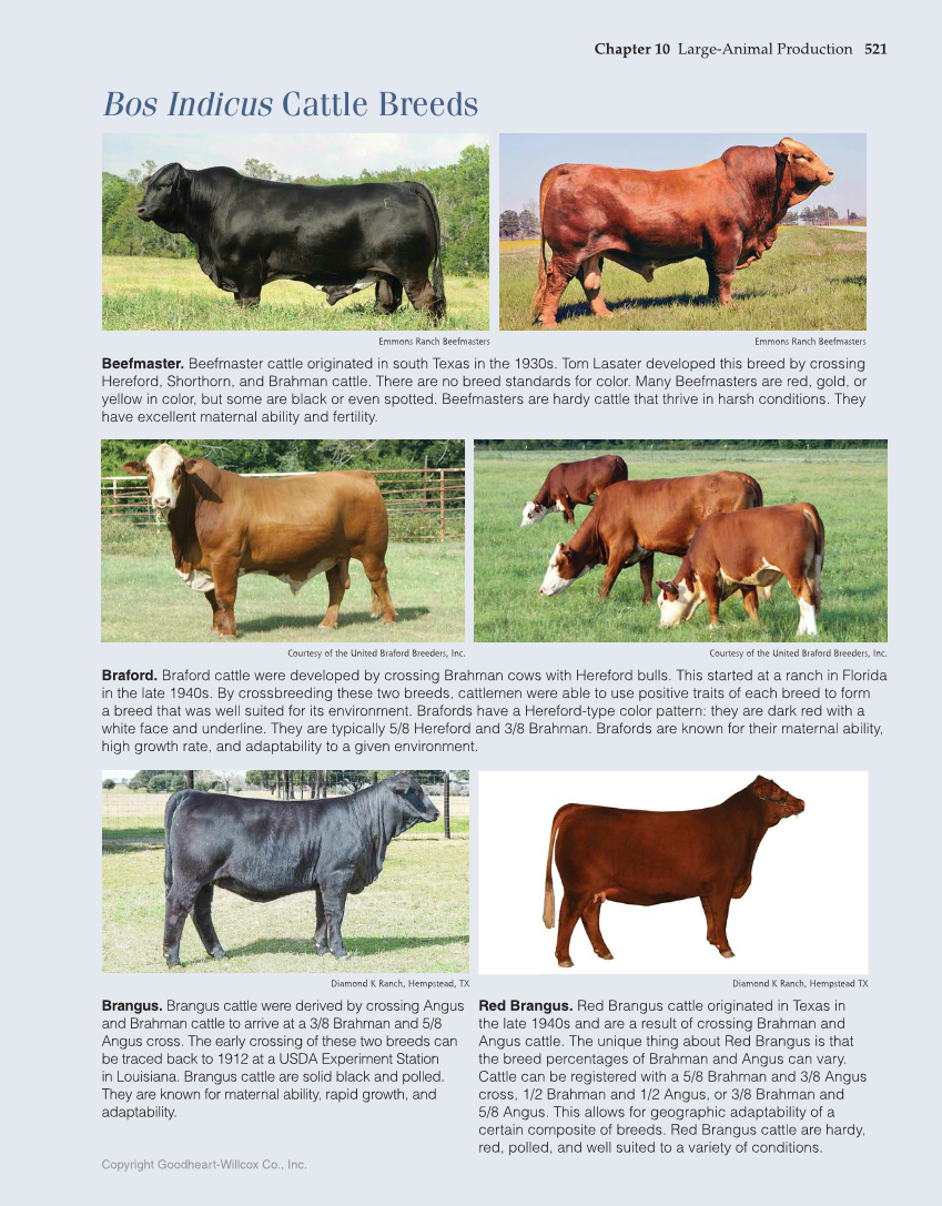 Principles of Agriculture, Food, and Natural Resources, 1st Edition ...