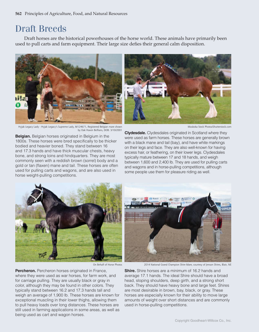 Principles of Agriculture, Food, and Natural Resources, 1st Edition ...