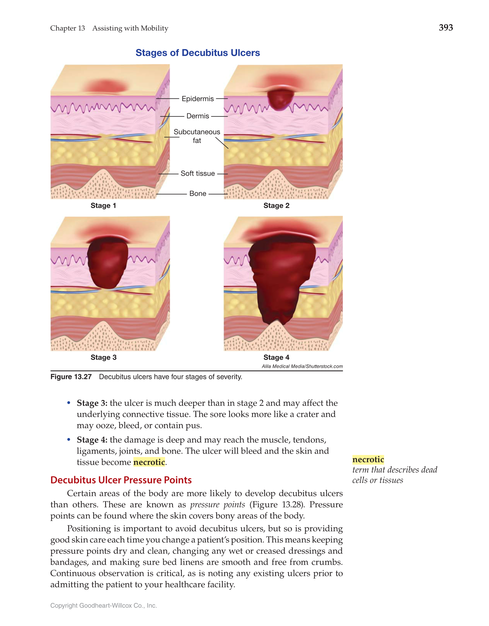 Health Science: Concepts and Applications, 1st Edition page 393