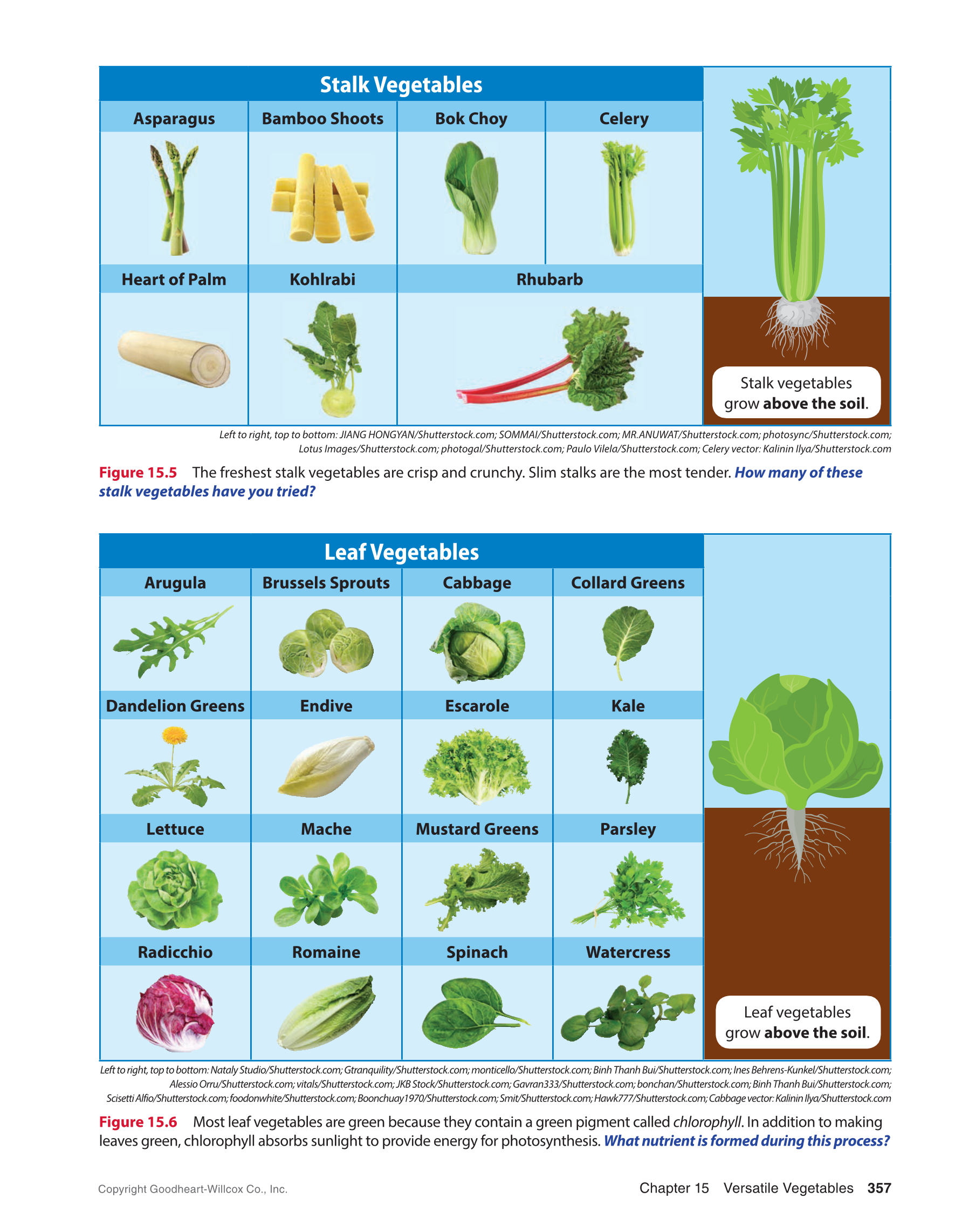 Adventures in Food and Nutrition 6e, Textbook page 357