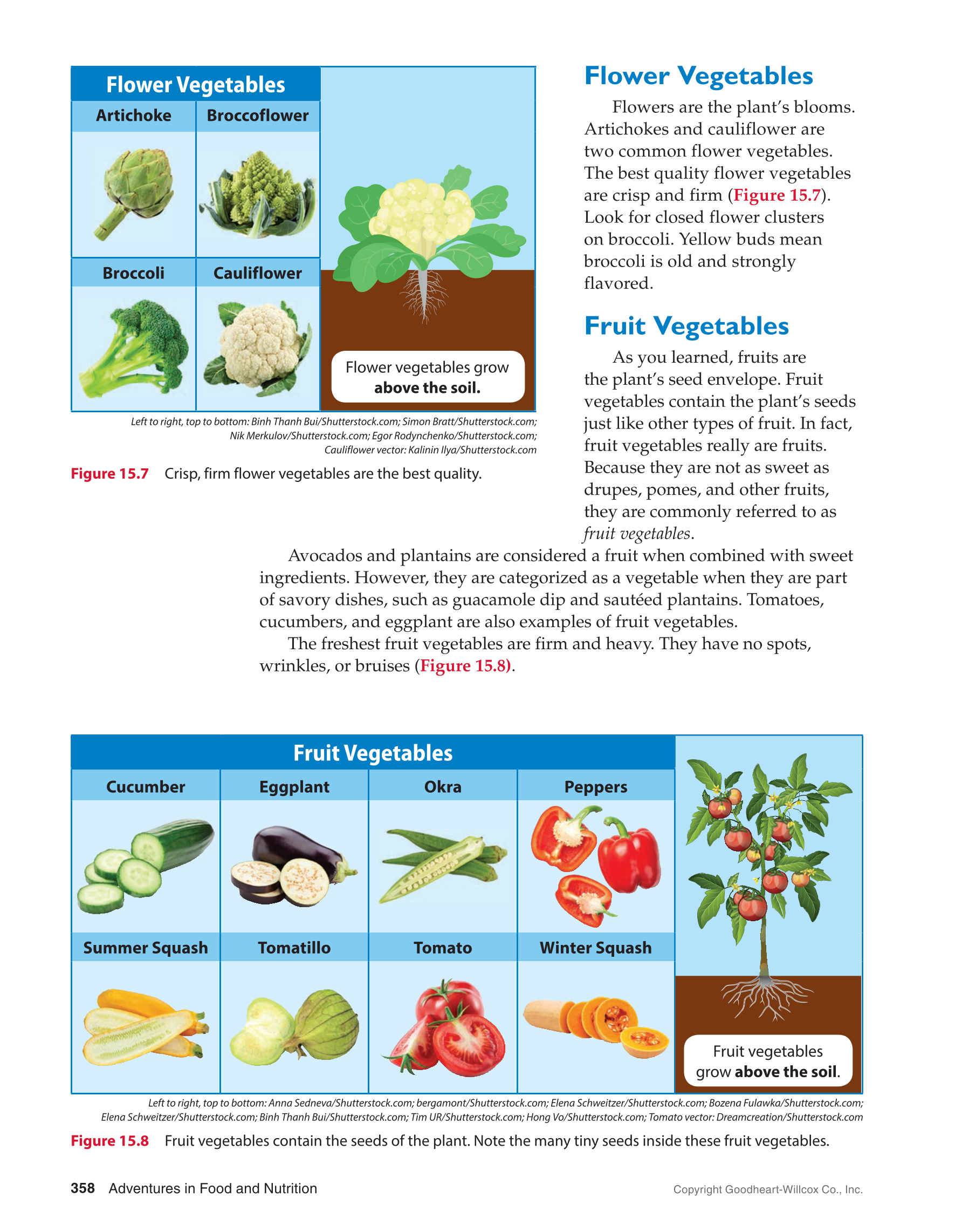 Adventures in Food and Nutrition 6e, Textbook page 358