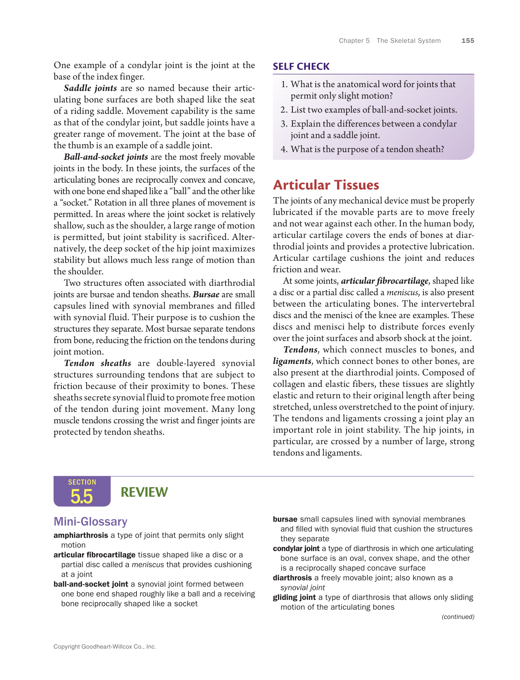 Anatomy Physiology Essentials 2e Textbook Page 155 anatomy-physiology-essentials-2e-textbook-page-155