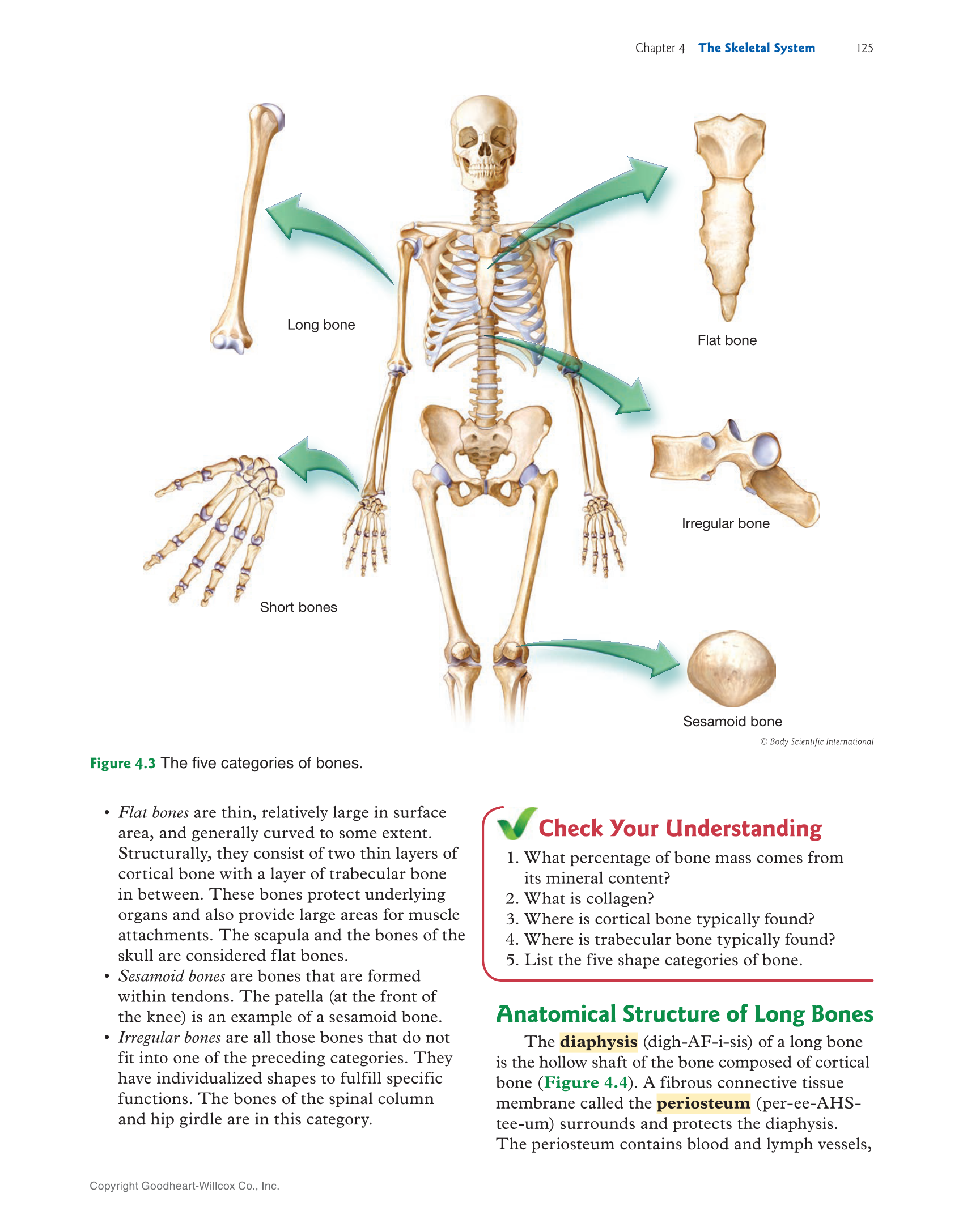 Introduction to Anatomy and Physiology, 2nd Edition page 125