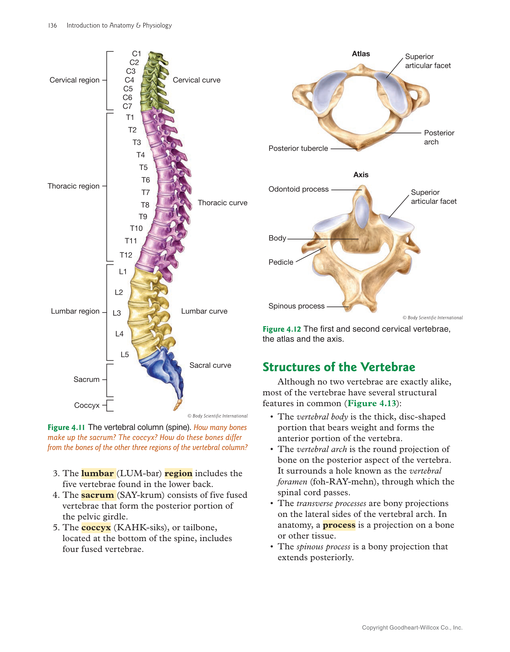 Introduction to Anatomy and Physiology, 2nd Edition page 136