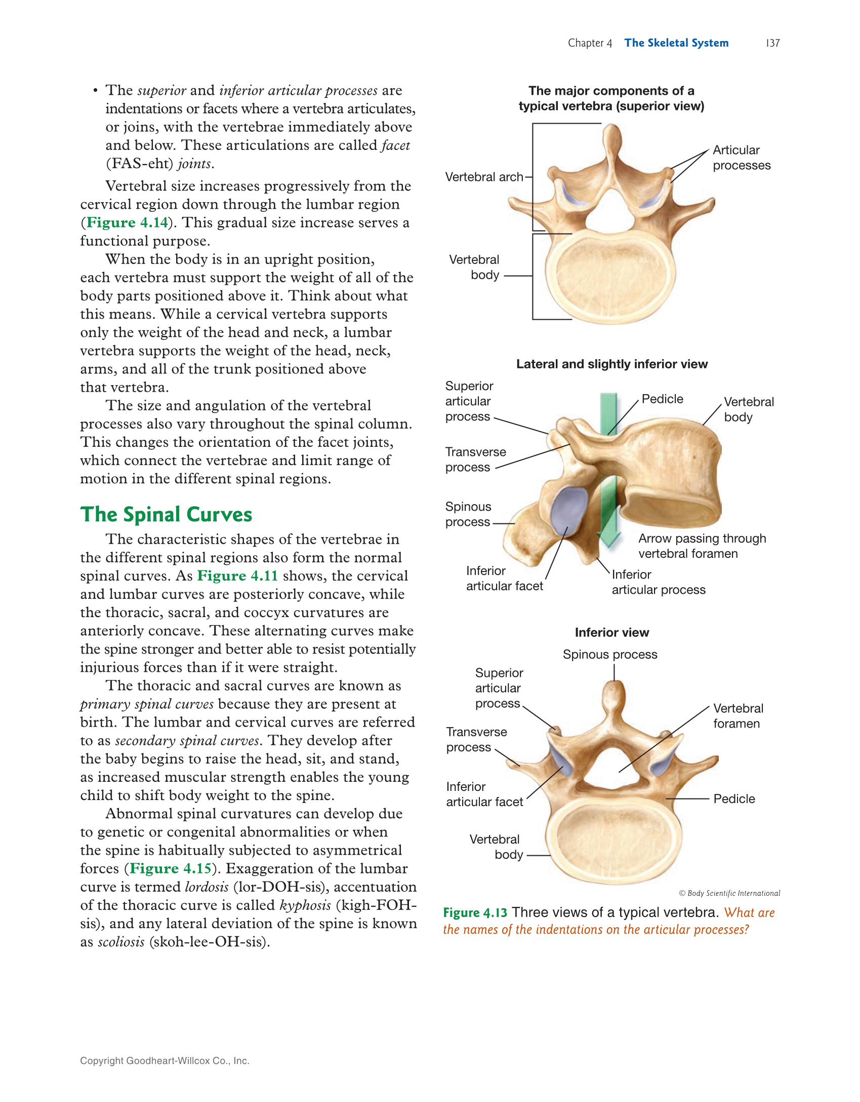 Introduction to Anatomy and Physiology, 2nd Edition page 138