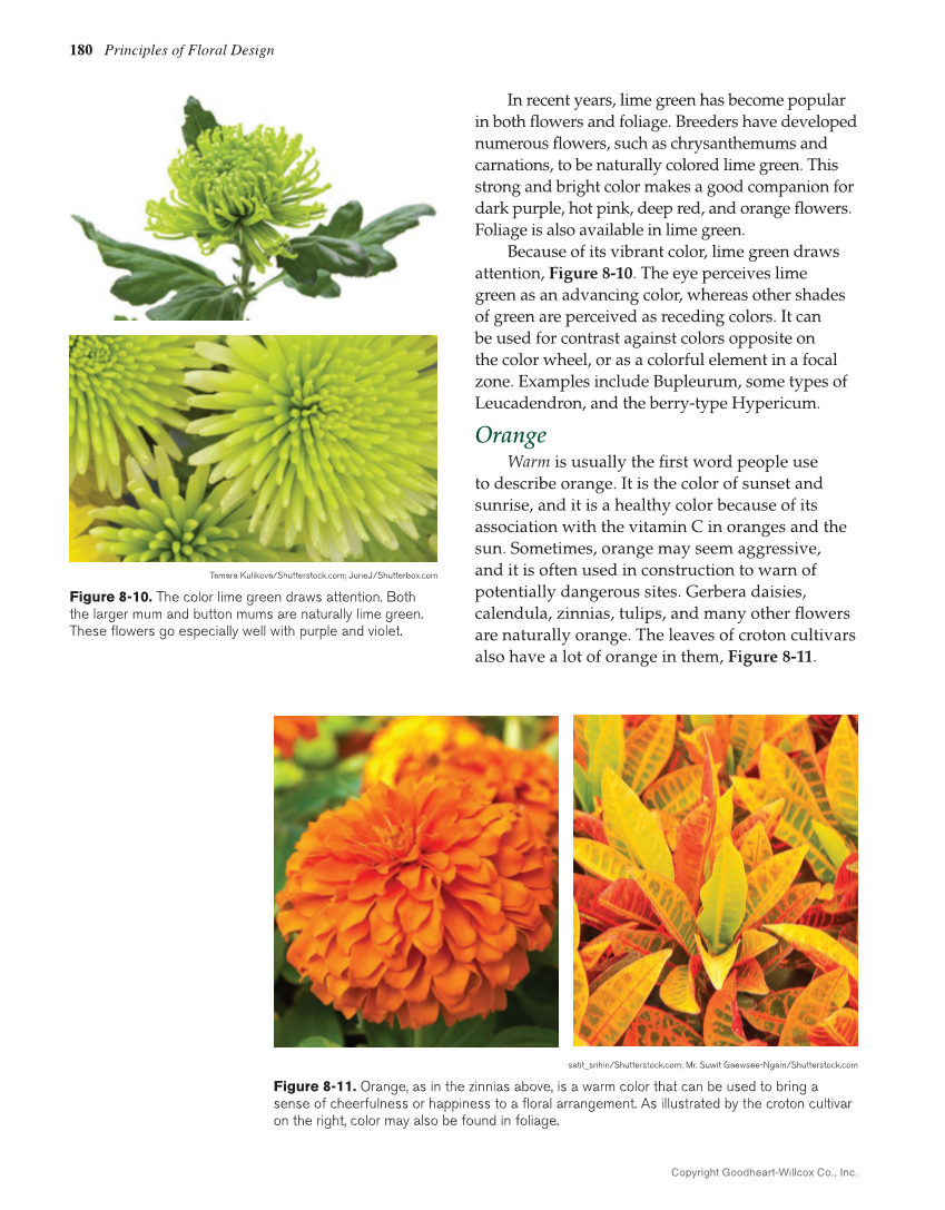 Principles of Floral Design: An Illustrated Guide, 2nd Edition page 180