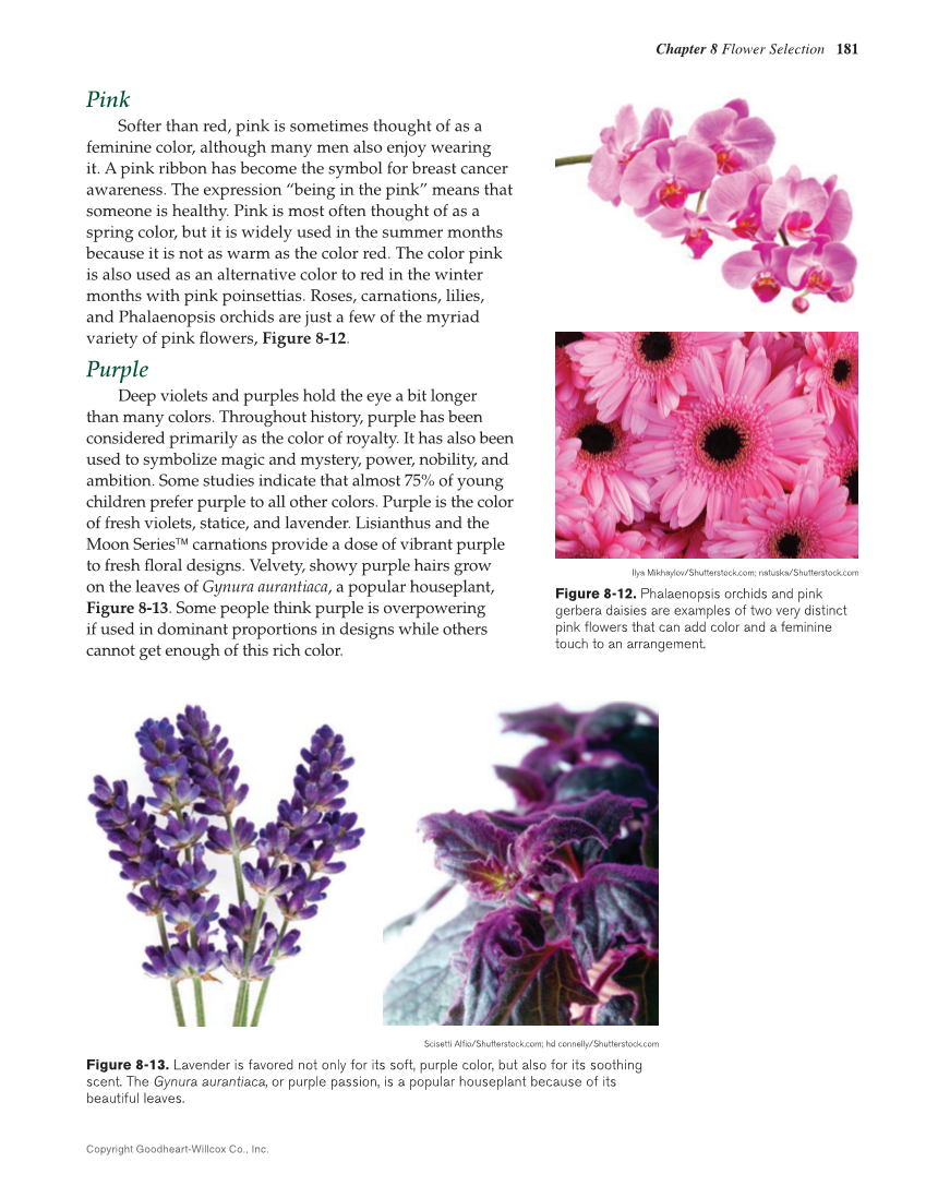 Principles of Floral Design: An Illustrated Guide, 2nd Edition page 181