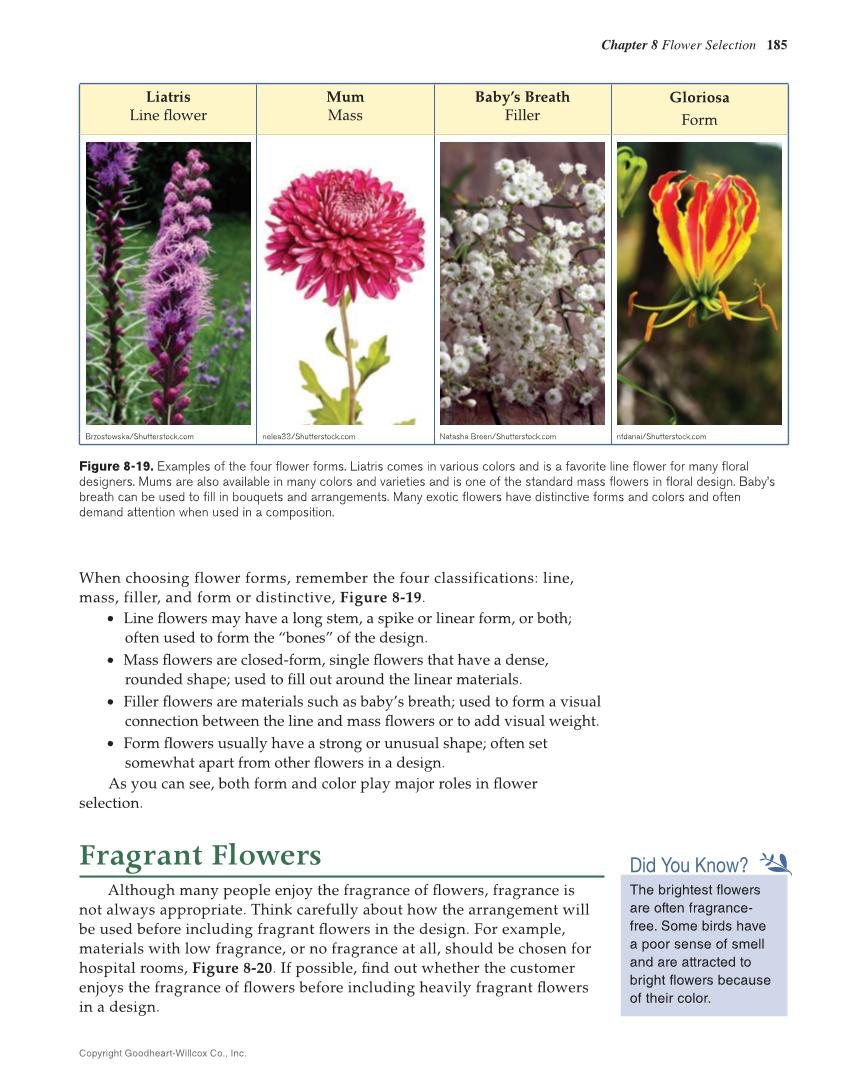 Principles of Floral Design: An Illustrated Guide, 2nd Edition page 185