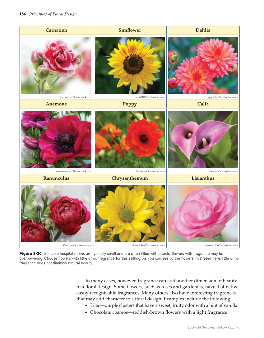 Principles of Floral Design: An Illustrated Guide, 2nd Edition page 186