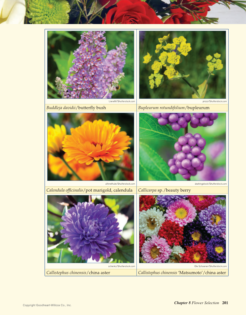 Principles of Floral Design: An Illustrated Guide, 2nd Edition page 201