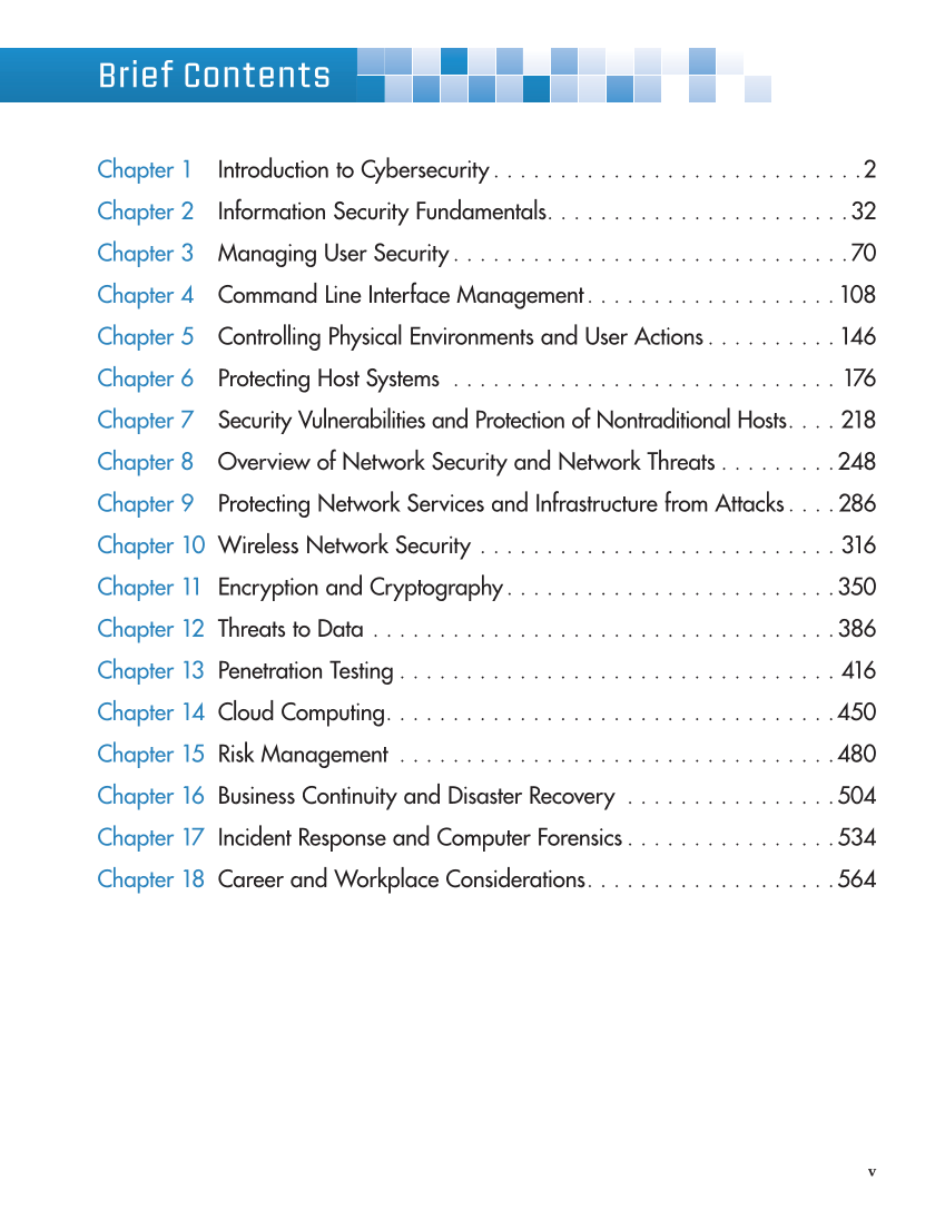 Principles of Cybersecurity, 1st Edition page v